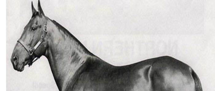 Bret Hanover Hall Of Fame No 5. - Harnessbred