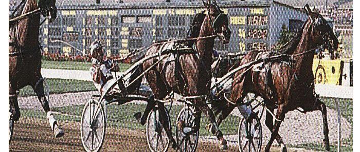 NIHILATOR’S USA CAREER AND IMPACT ON AUSTRALASIAN HARNESS RACING ...