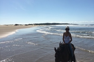 Best way to contact HRV HERO program - Harnessbred