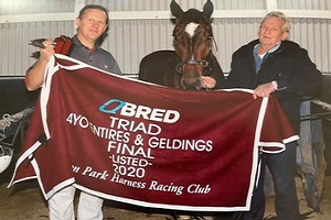 Vale David Millard - Harnessbred