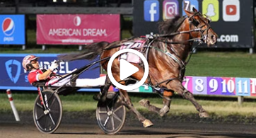 Dunn’s world record at the Big M - Harnessbred