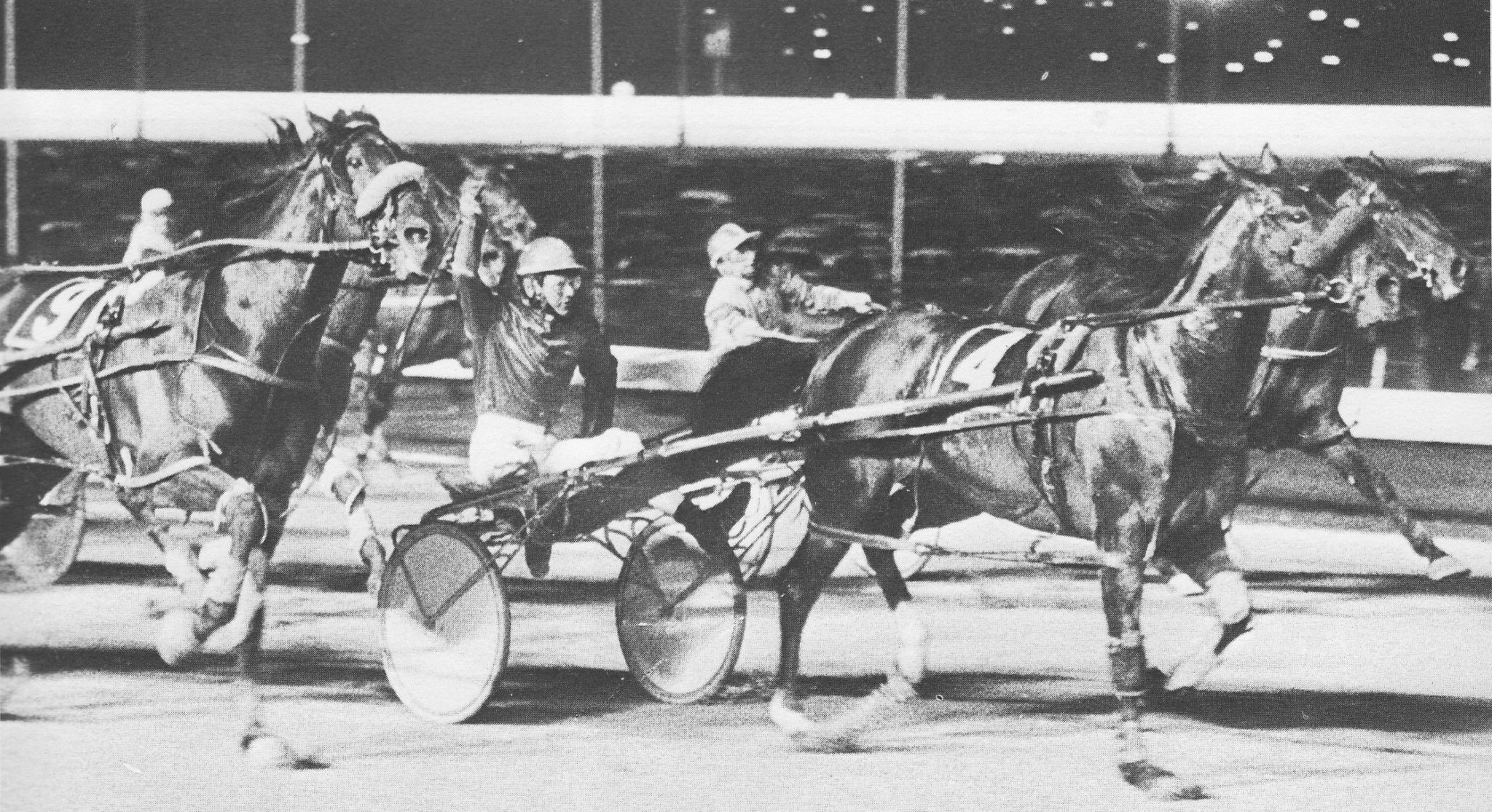 MELBOURNE INTERDOMINIONS 1978 - Harnessbred.com