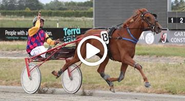 Emotional victory dedicated to young Effie at Ashburton - Harnessbred