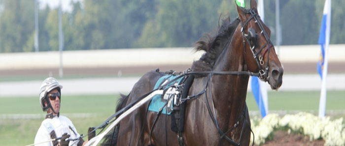 A True Inspiration - Harnessbred