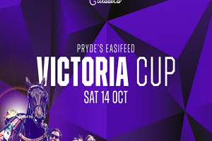 Field of stars selected for 2023 Pryde’s EasiFeed Victoria Cup ...
