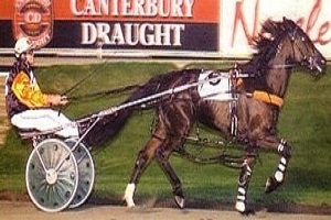R I P Multiple GRP 1 Winning – Neil Brady - Harnessbred